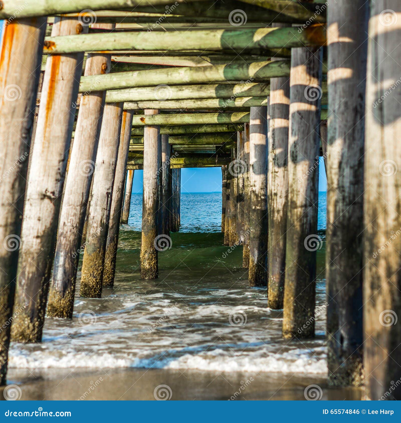 Under the dock stock photo. Image of pier, pole, water - 65574846