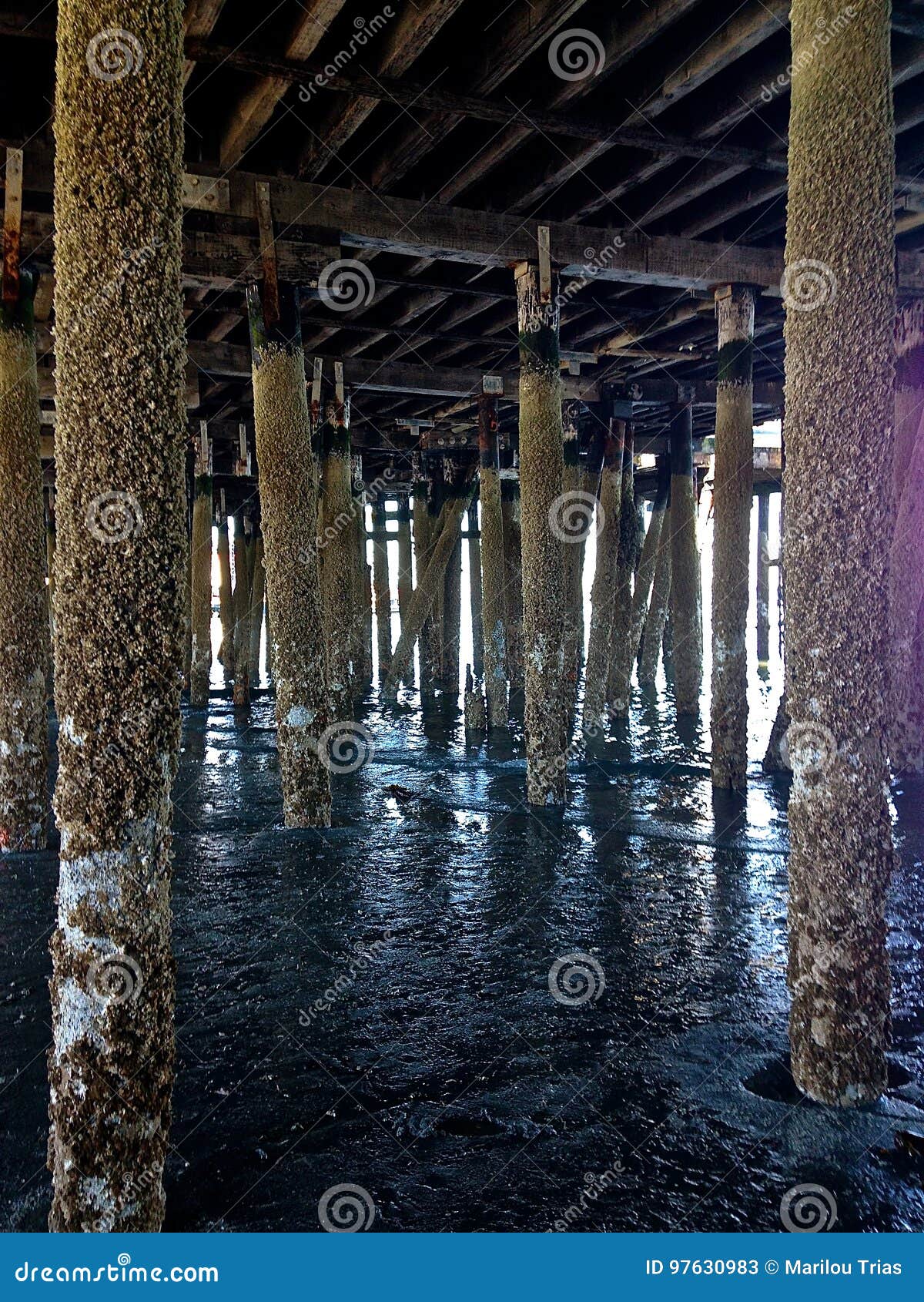Under the Docks stock image. Image of coast, shadow, coastal - 97630983