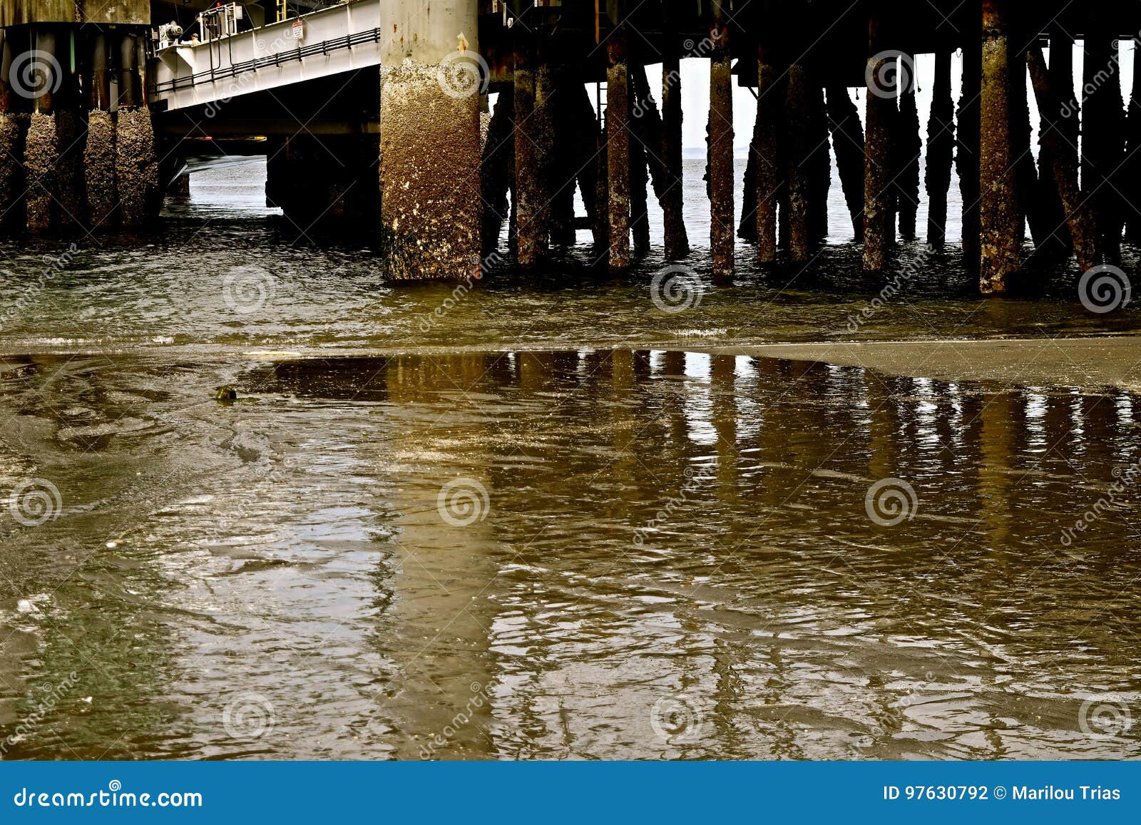 Under the Docks stock photo. Image of seaside, darkness - 97630792