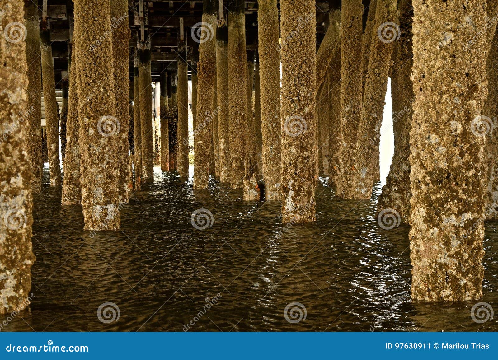 Under the Docks stock image. Image of ripples, saltwater - 97630911