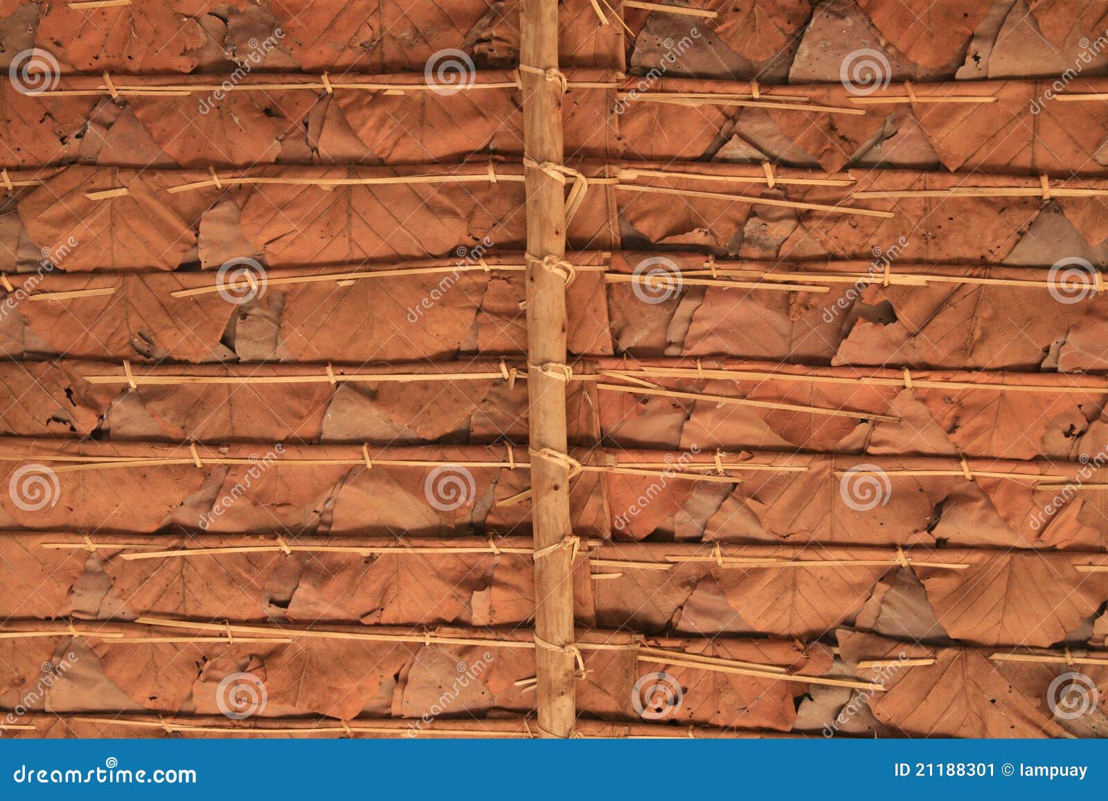 Under dry leaf roof stock image. Image of structure, natural - 21188301
