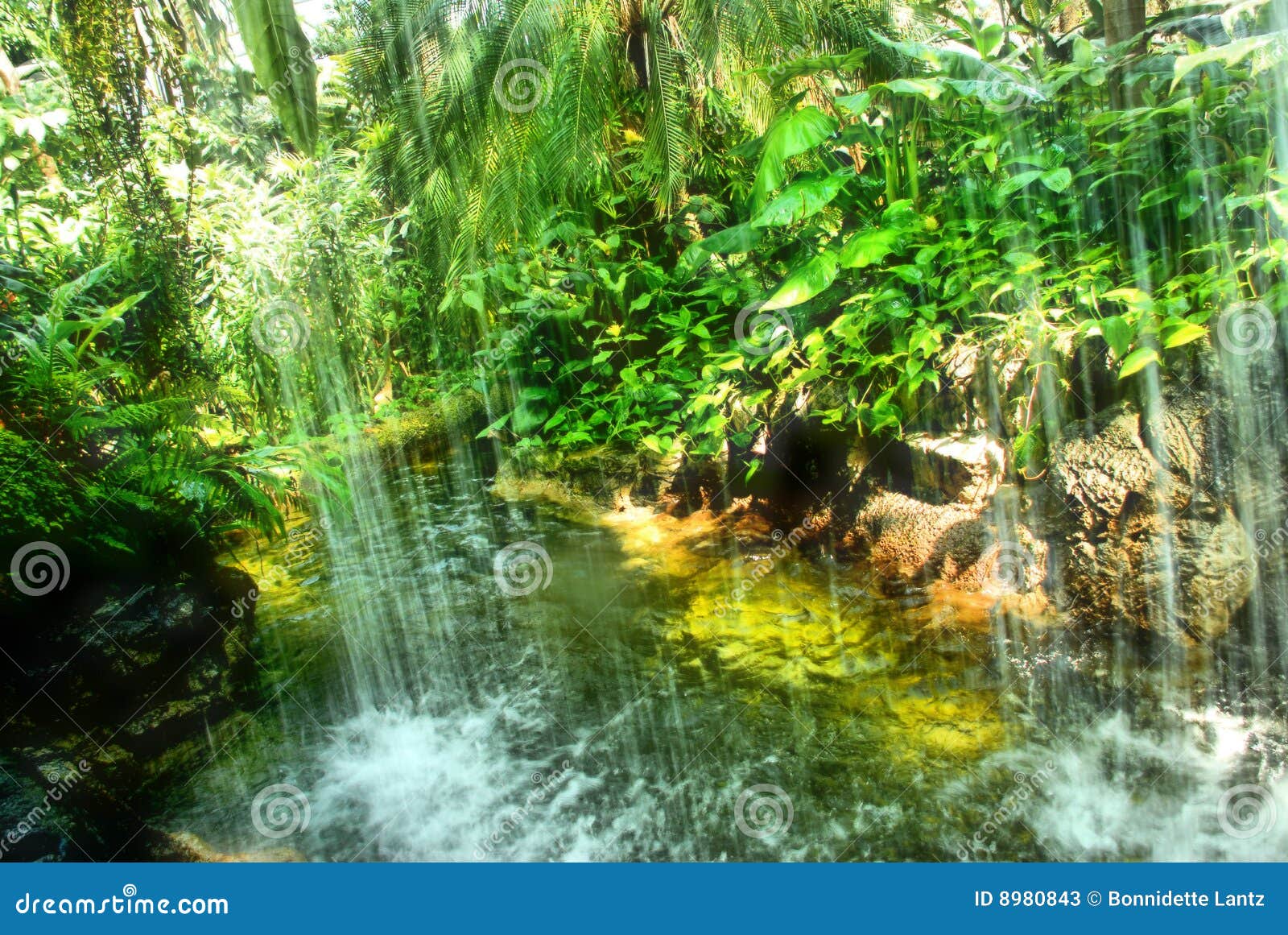 Under the falls stock image. Image of beautiful, scenery - 8980843
