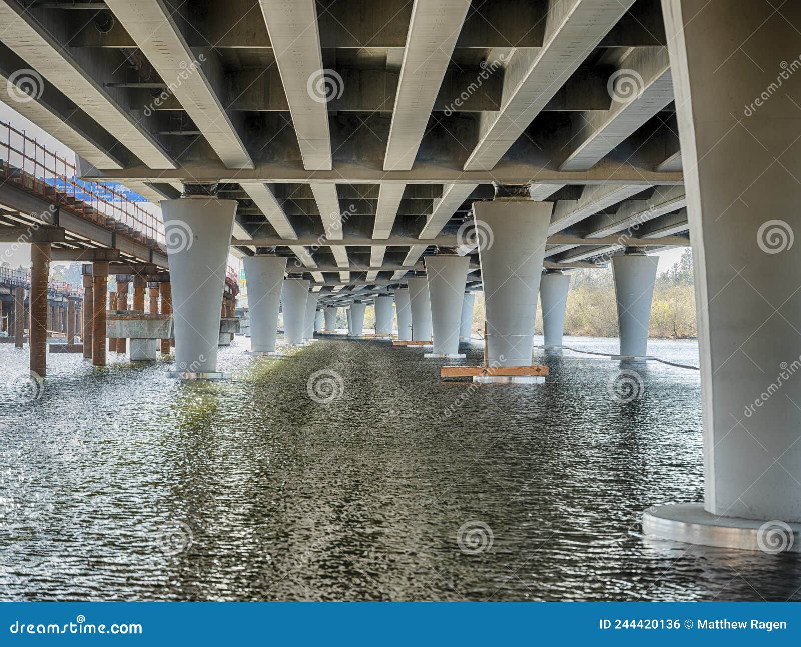 Under the Freeway Bridge stock photo. Image of toll - 244420136