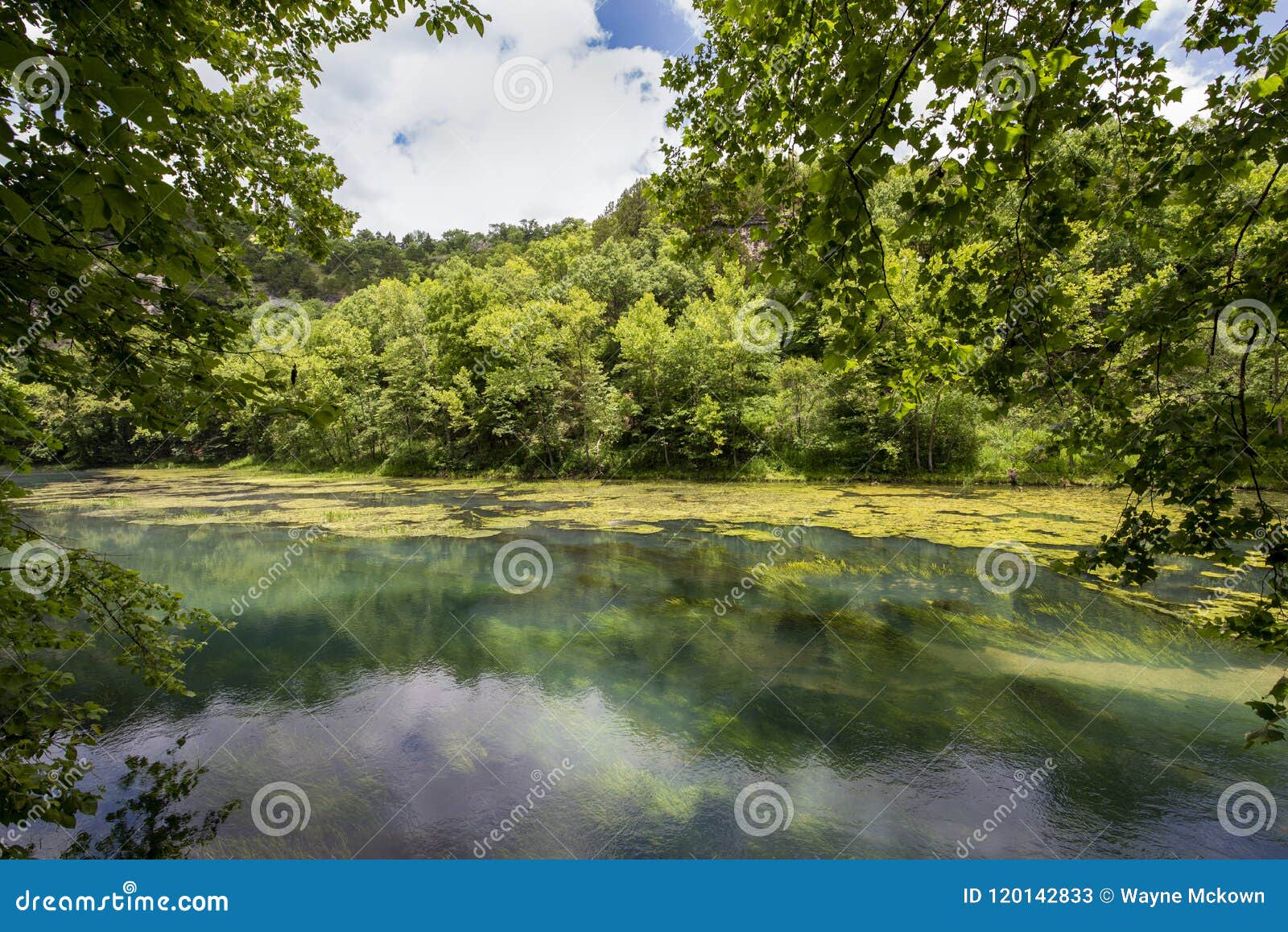 Under ground spring water stock image. Image of abstract - 120142833