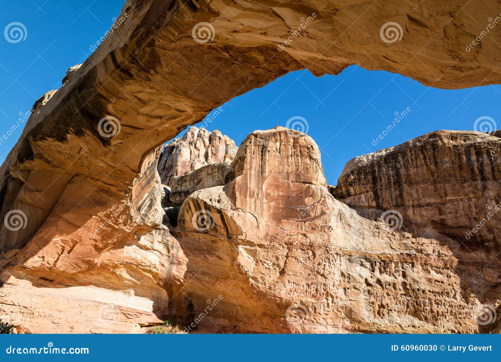 Under the Hickman Bridge stock photo. Image of beautiful - 60960030