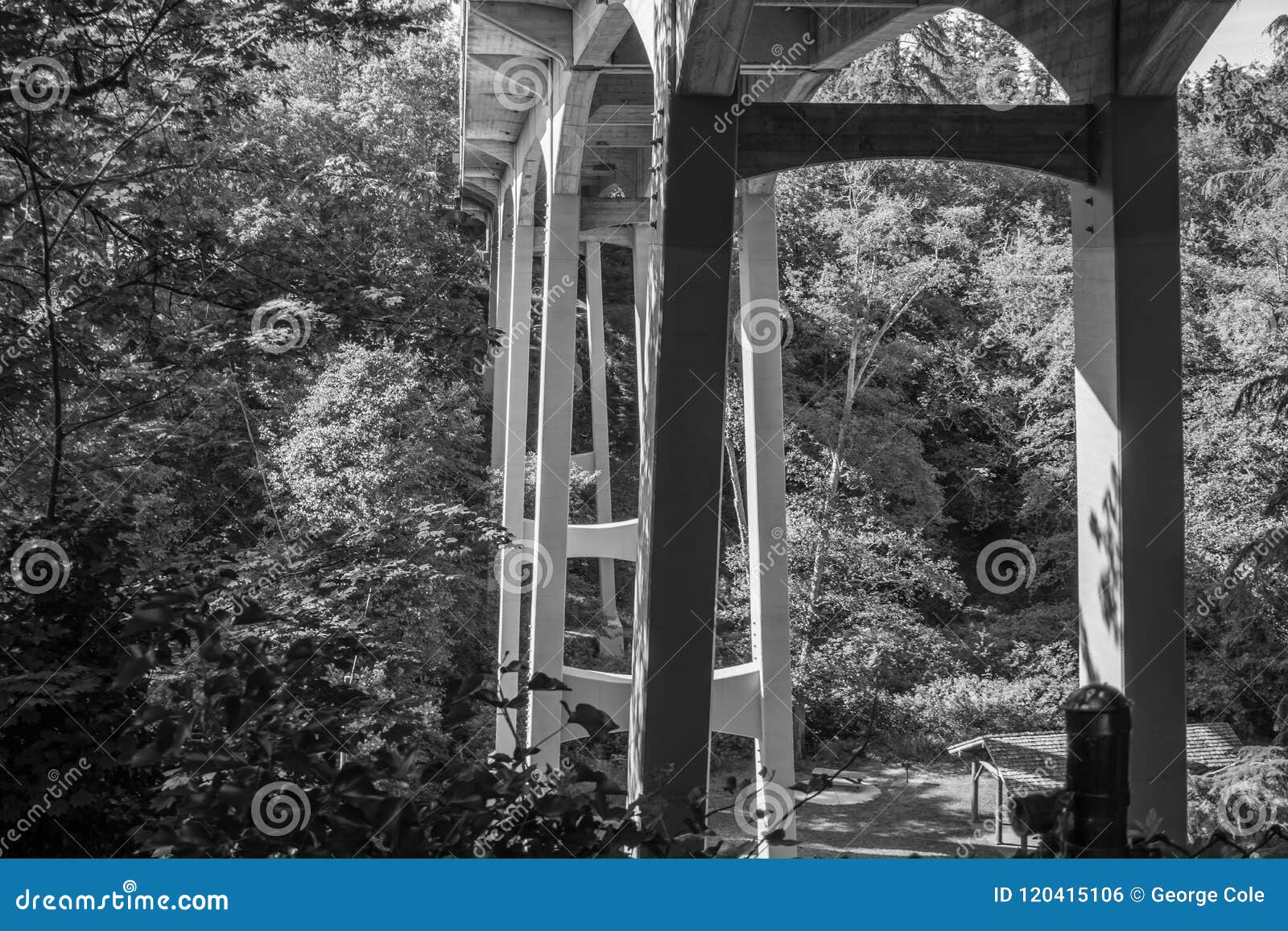 Under a Highway Bridge 7 stock photo. Image of outdoors - 120415106