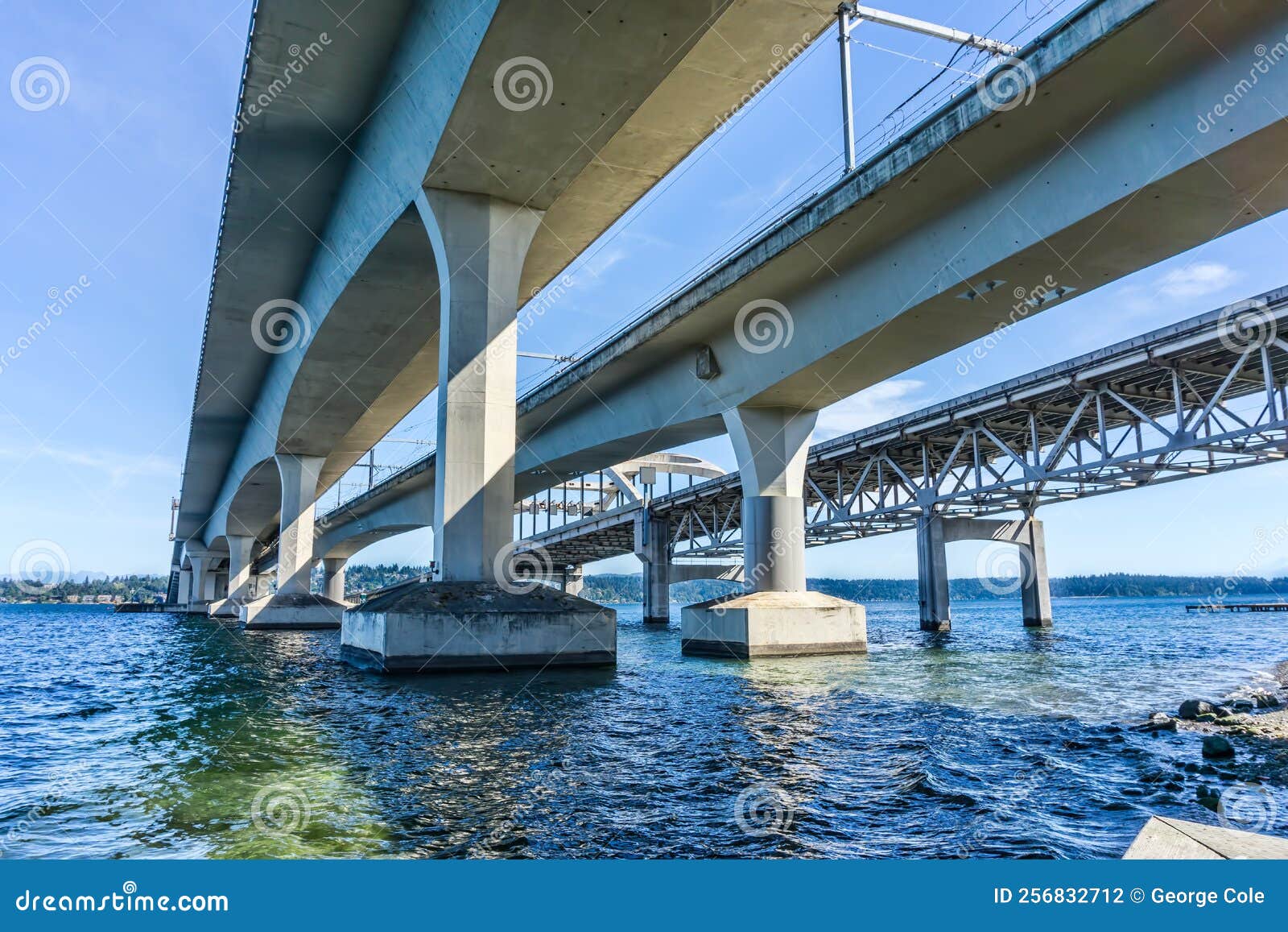Under Highway Bridges 5 stock photo. Image of washington - 256832712