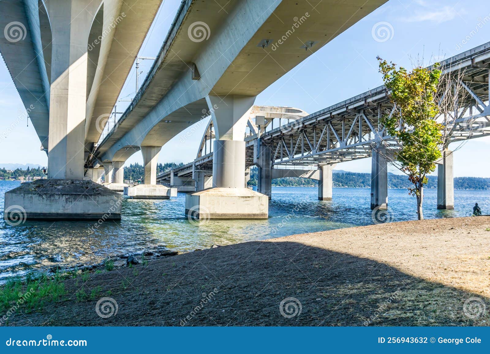 Under Highway Bridges 6 stock photo. Image of abstract - 256943632