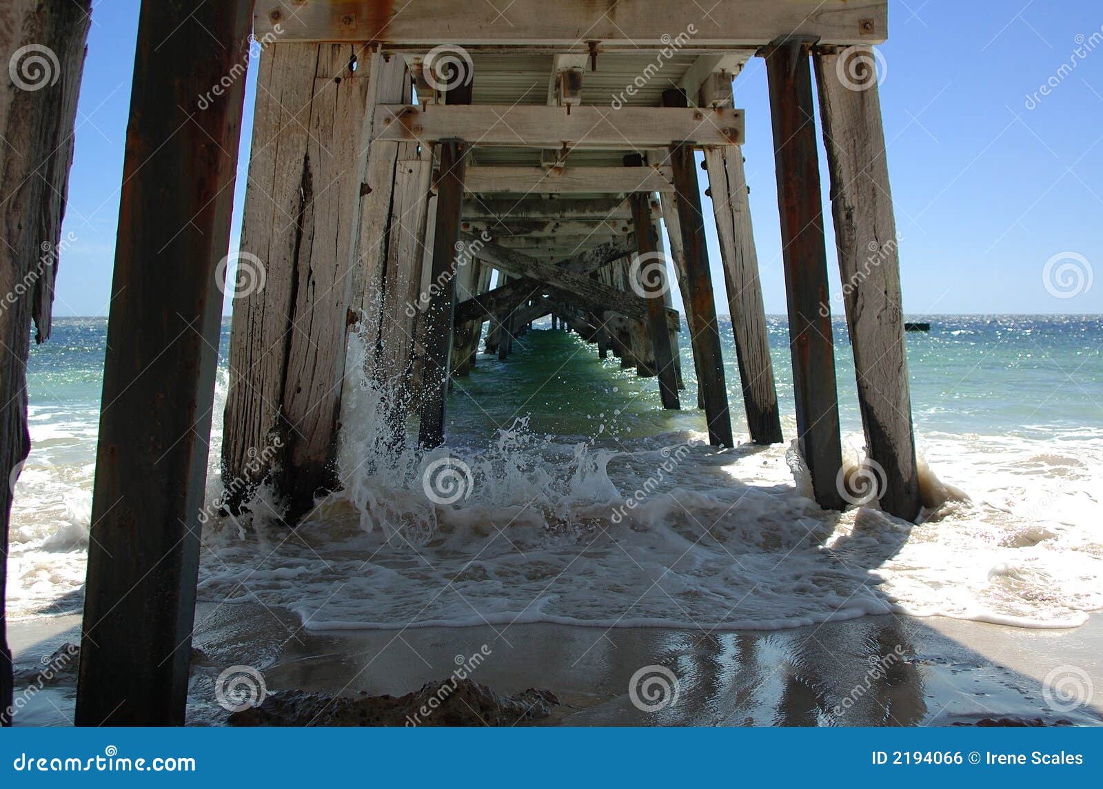 Under the Jetty stock photo. Image of pier, wood, jetty - 2194066