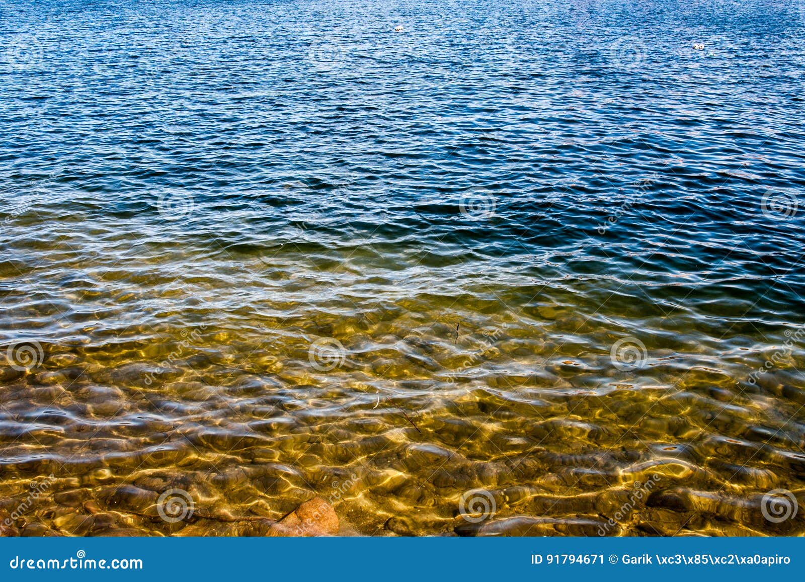 Under the Lake stock image. Image of surface, calm, lake - 91794671