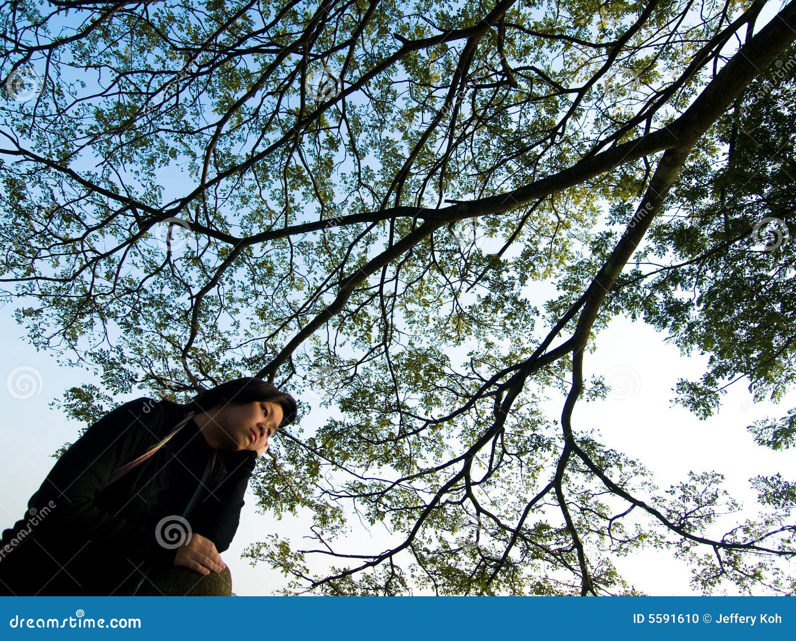 Under a Large Canopy stock photo. Image of canopy, teen - 5591610