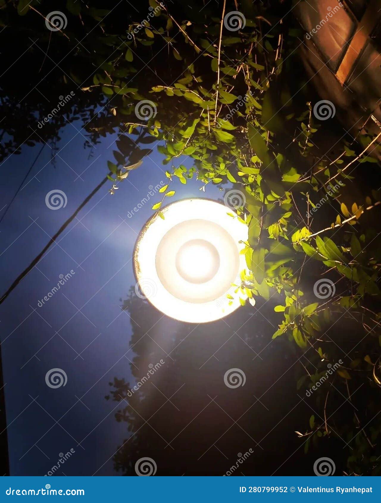 Under the Light of a Light Bulb Stock Photo - Image of abstract ...