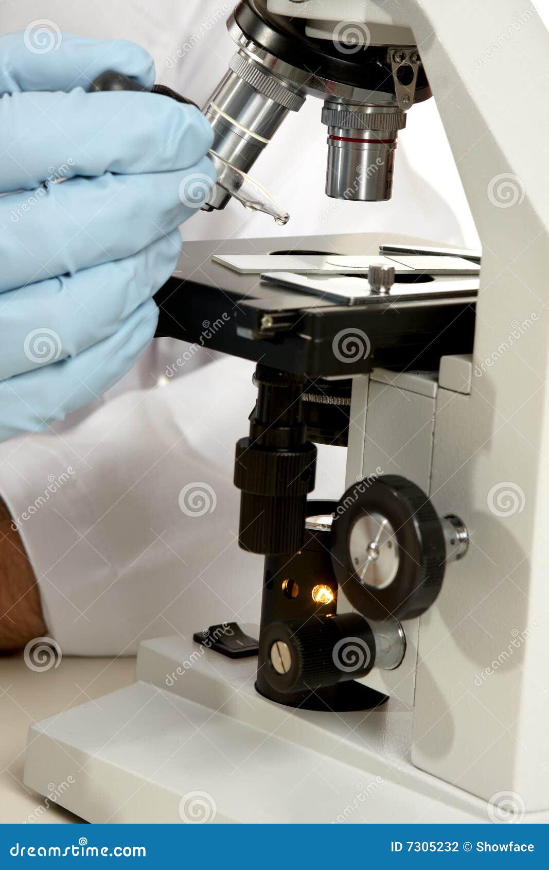 Under the microscope stock photo. Image of scientist, discovery - 7305232