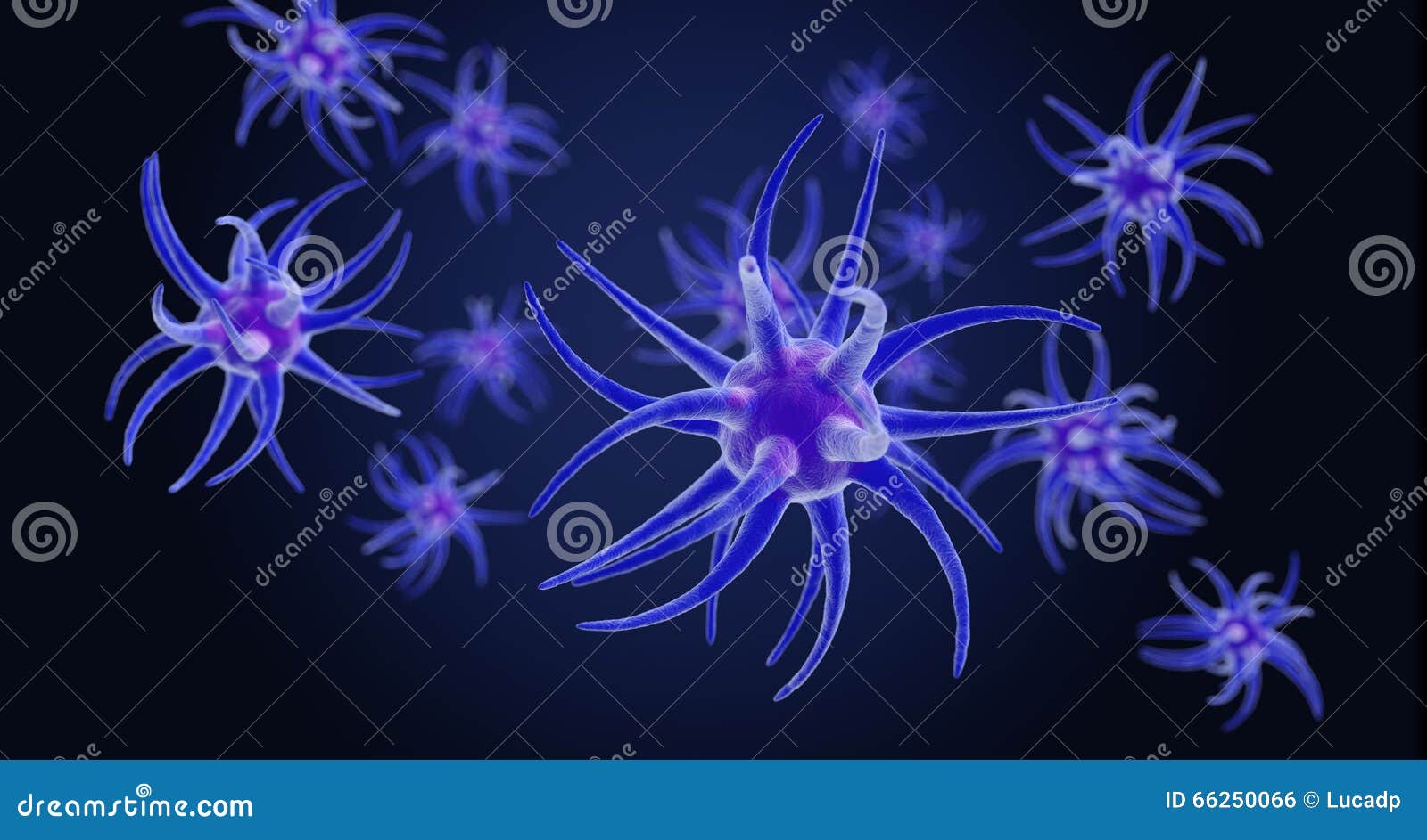 Under the Microscope, Neurons Stock Illustration - Illustration of ...