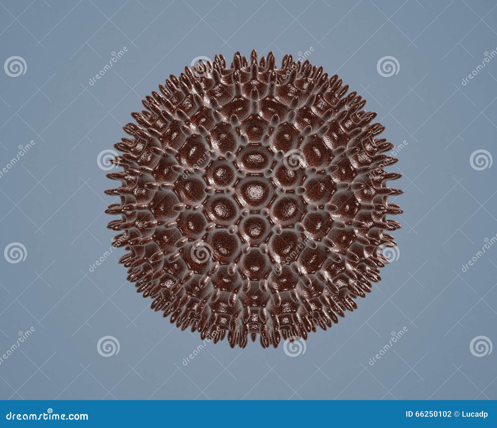 Under the Microscope, Pollen Stock Illustration - Illustration of ...