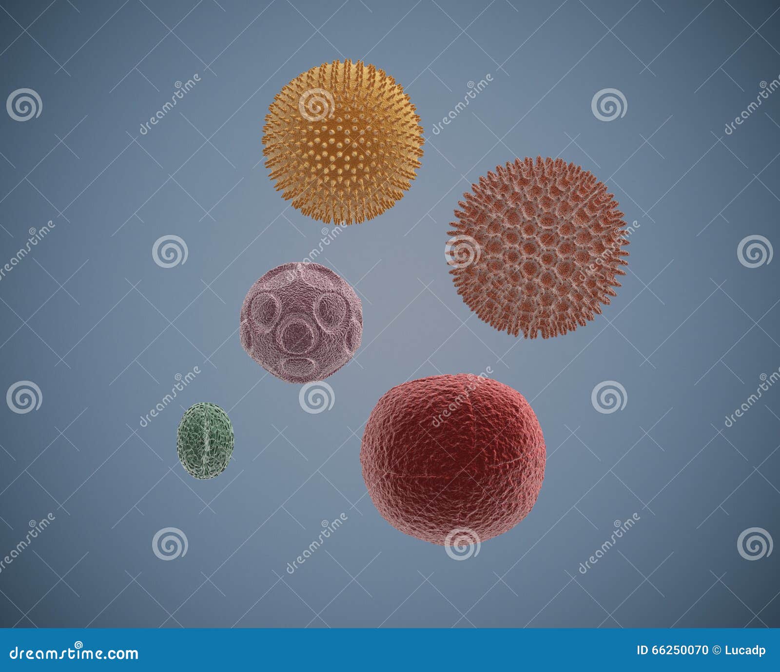 Under the Microscope, Pollen Stock Illustration - Illustration of ...