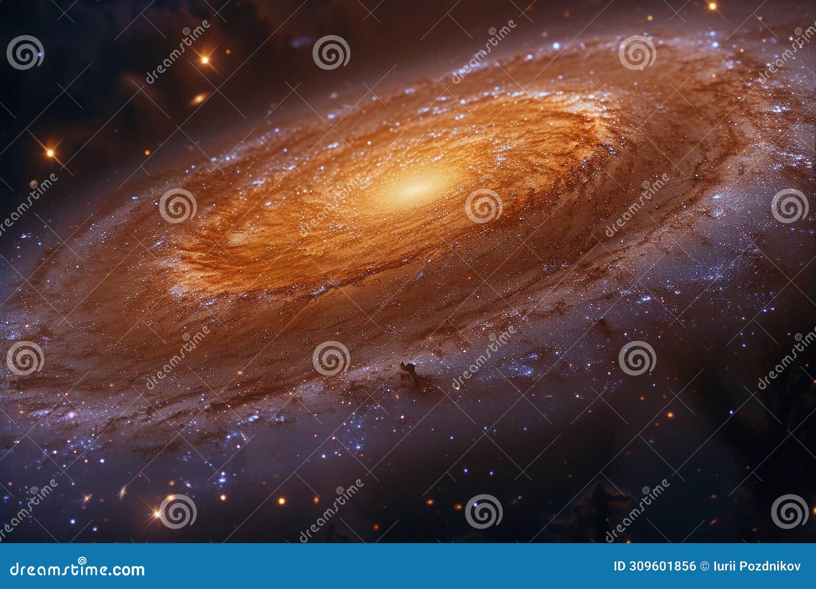 Under the Microscope of the Universe: Impressive Macro Images of ...