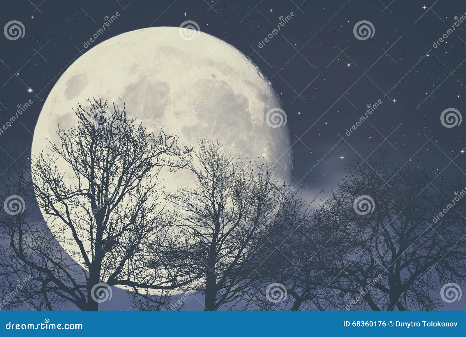Under Moon light stock photo. Image of moonlit, countryside - 68360176