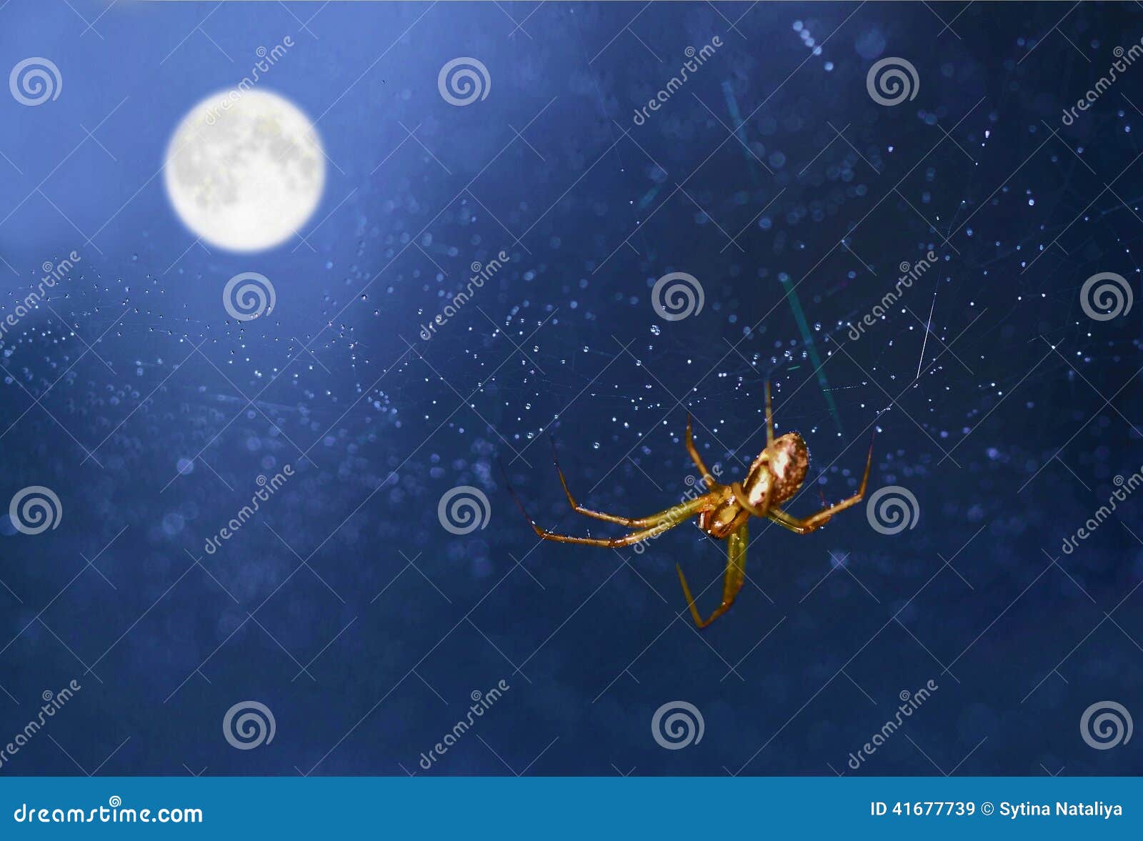 Under the Moon stock image. Image of spider, star, moon - 41677739