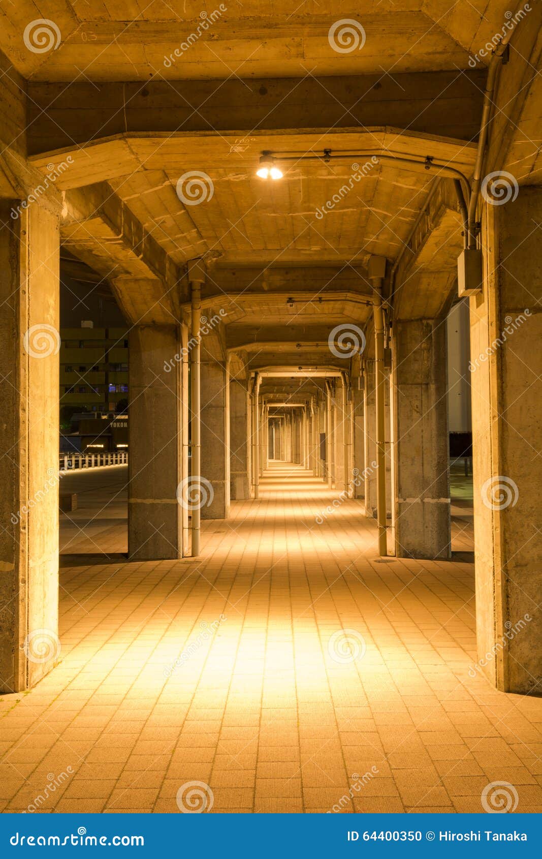 Under the overpass stock photo. Image of structure, night - 64400350