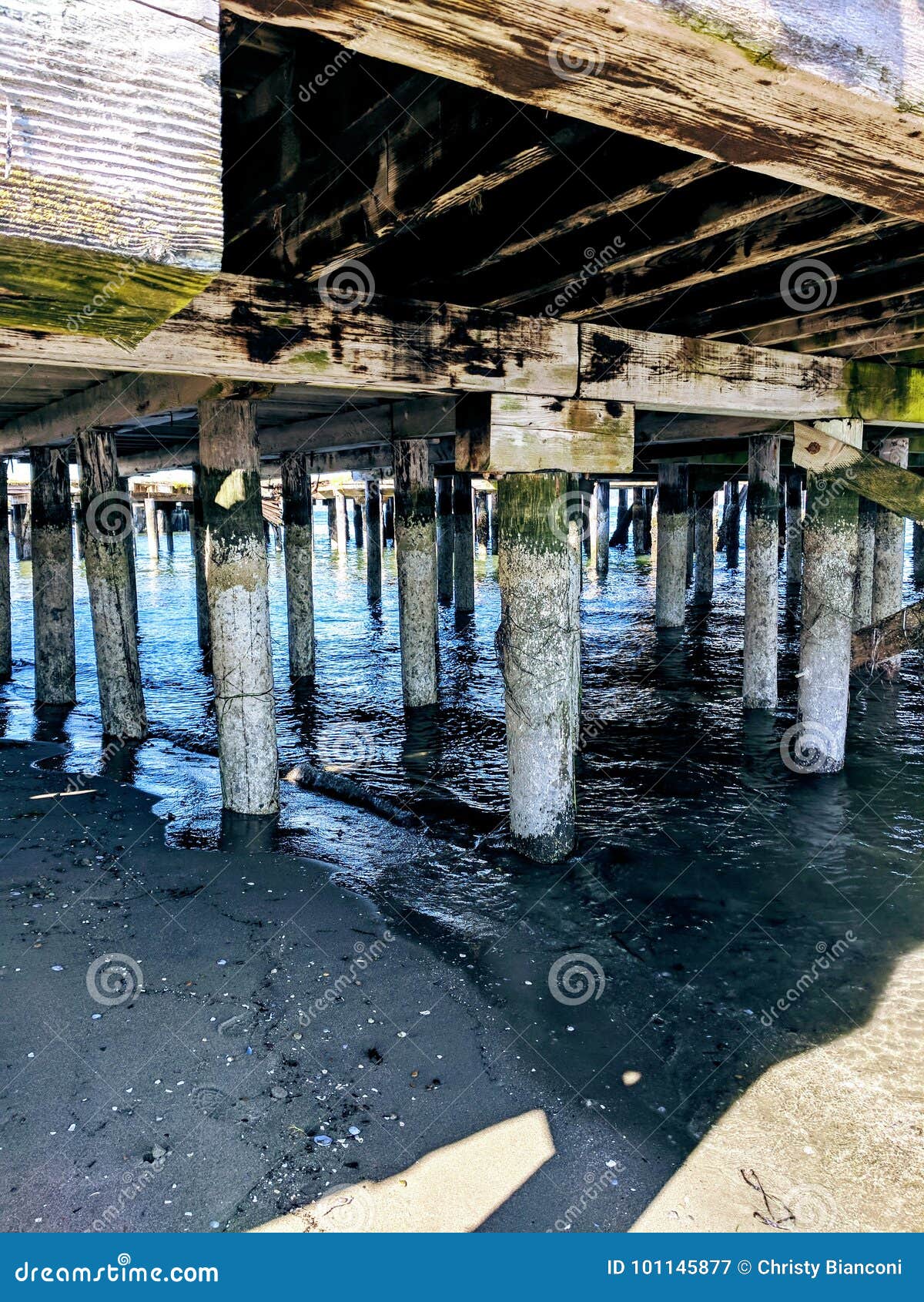 Under the Peer stock image. Image of moss, peer, beneath - 101145877