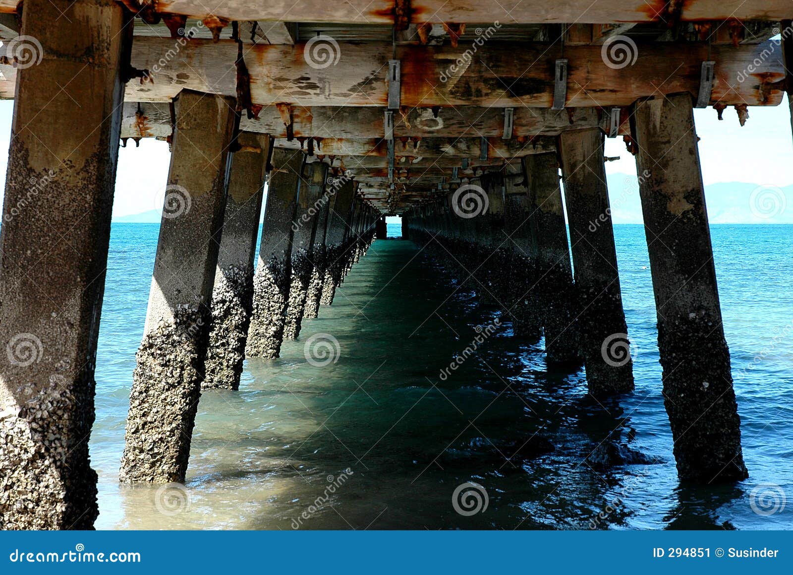 Under the Pier stock image. Image of water, barnacles, jetty - 294851