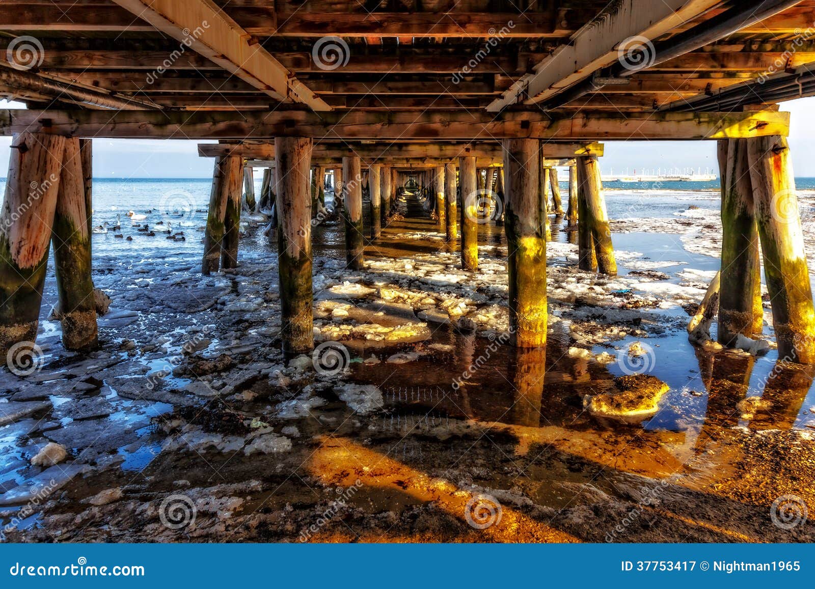 Under the pier stock image. Image of alone, cold, bridge - 37753417