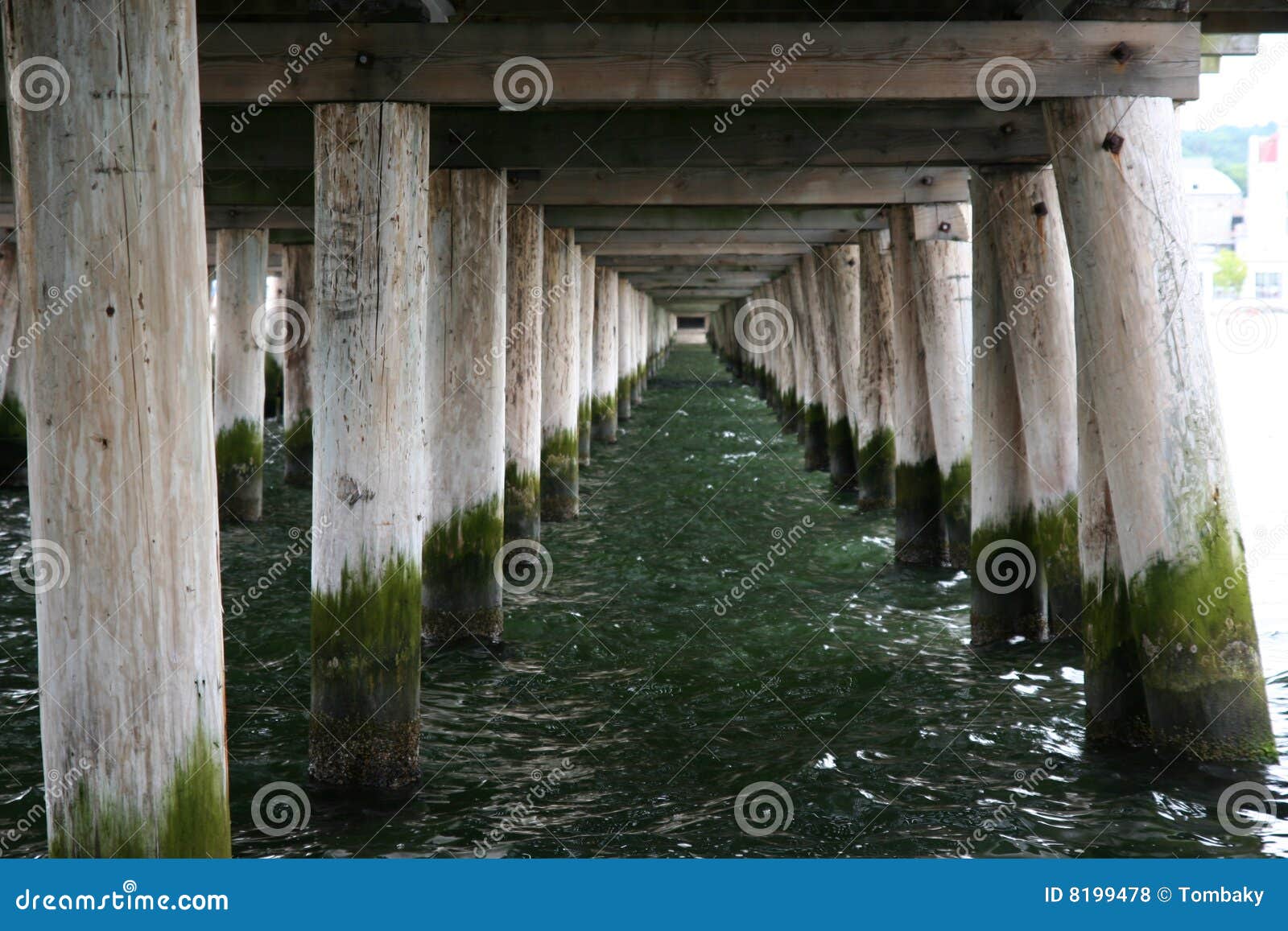 Under the pier stock photo. Image of pilaster, wooden - 8199478