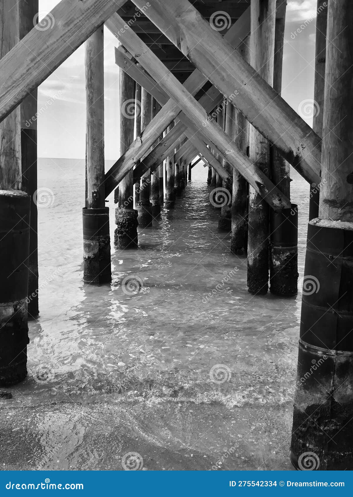 Under the pier stock photo. Image of water, pier, wood - 275542334