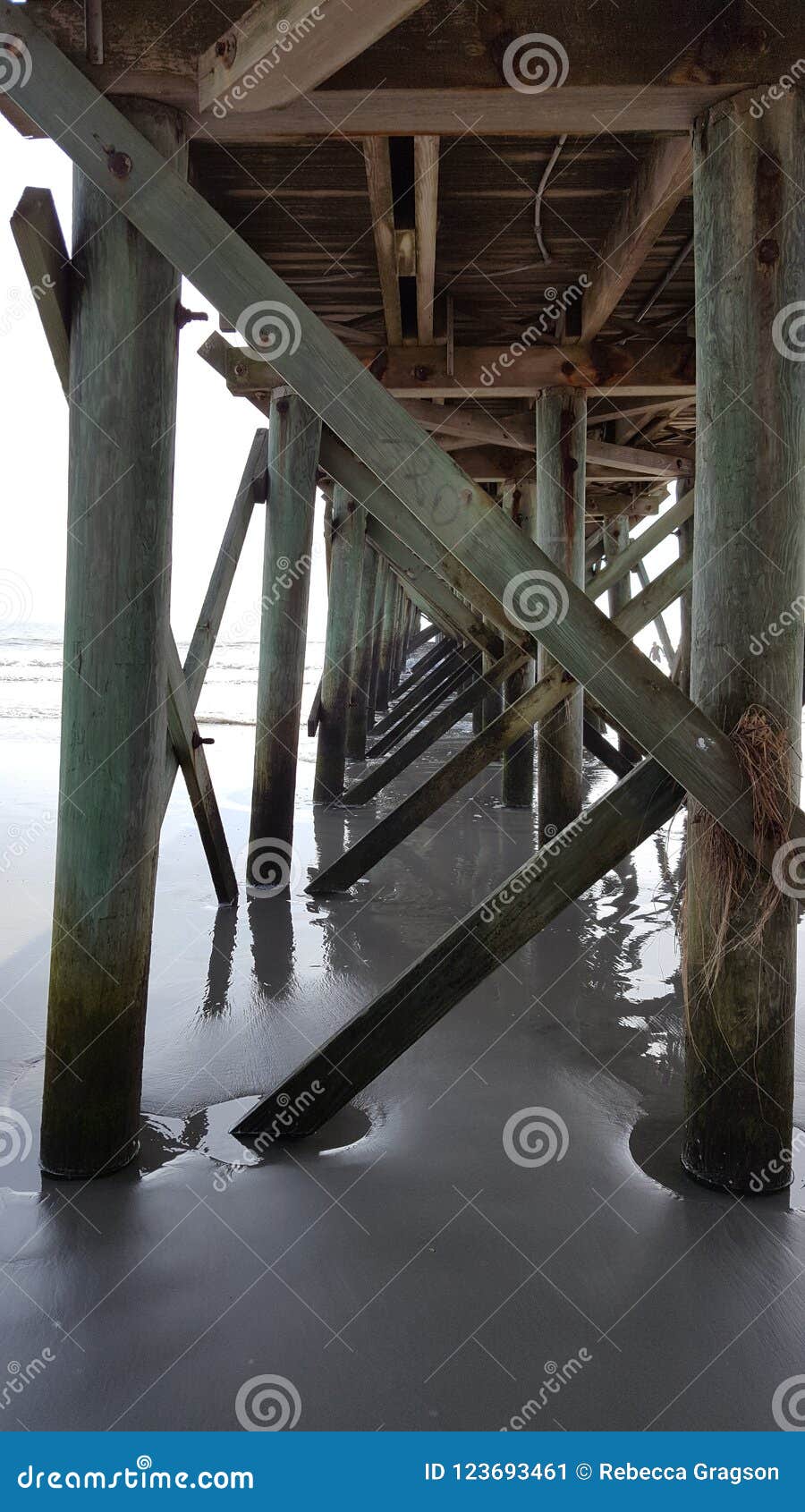 Under the pier stock image. Image of water, pier, beach - 123693461