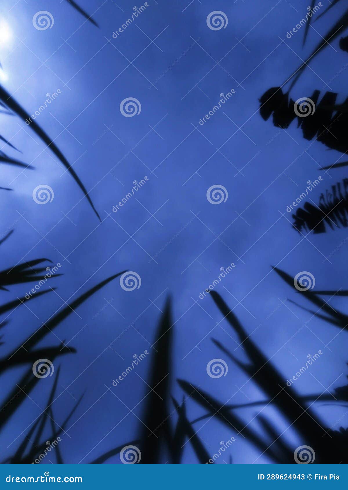 Under the Real Beauty of Nature with Love Stock Image - Image of real ...