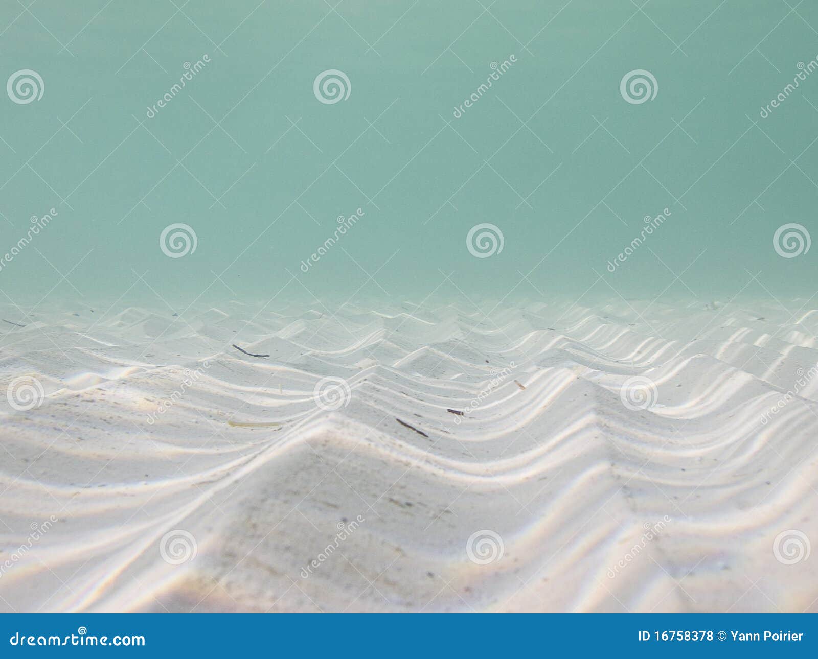 Under the sea stock photo. Image of saltwater, caribbean - 16758378