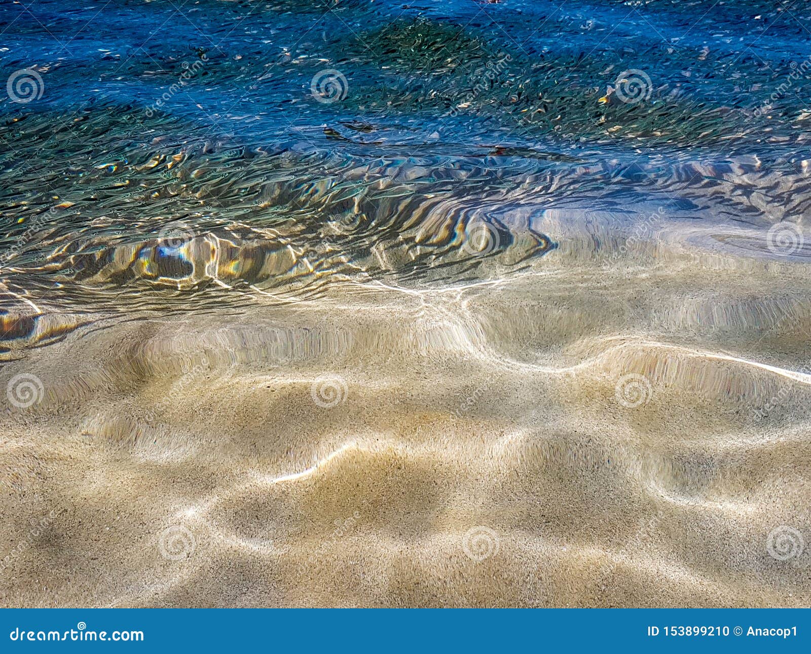 Under the sea stock photo. Image of island, underwater - 153899210