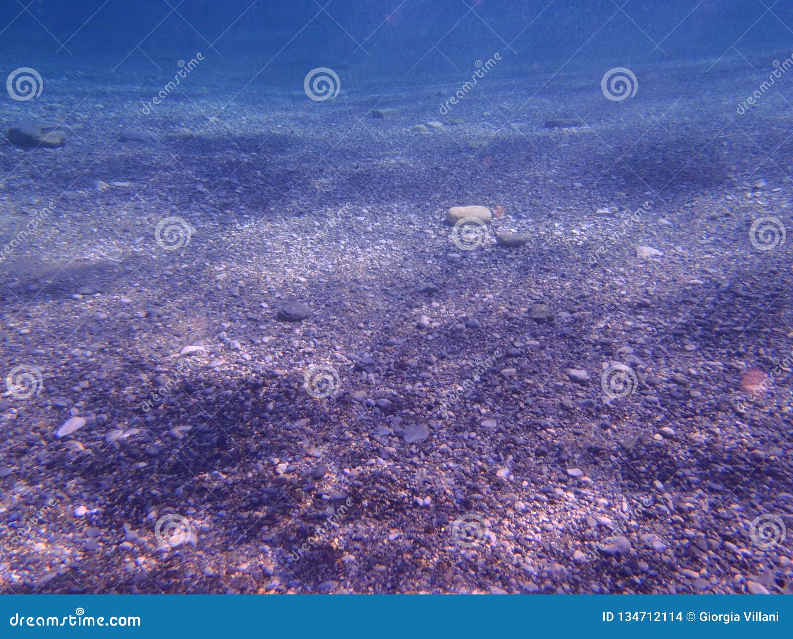 Under the sea, clear editorial stock image. Image of clear - 134712114