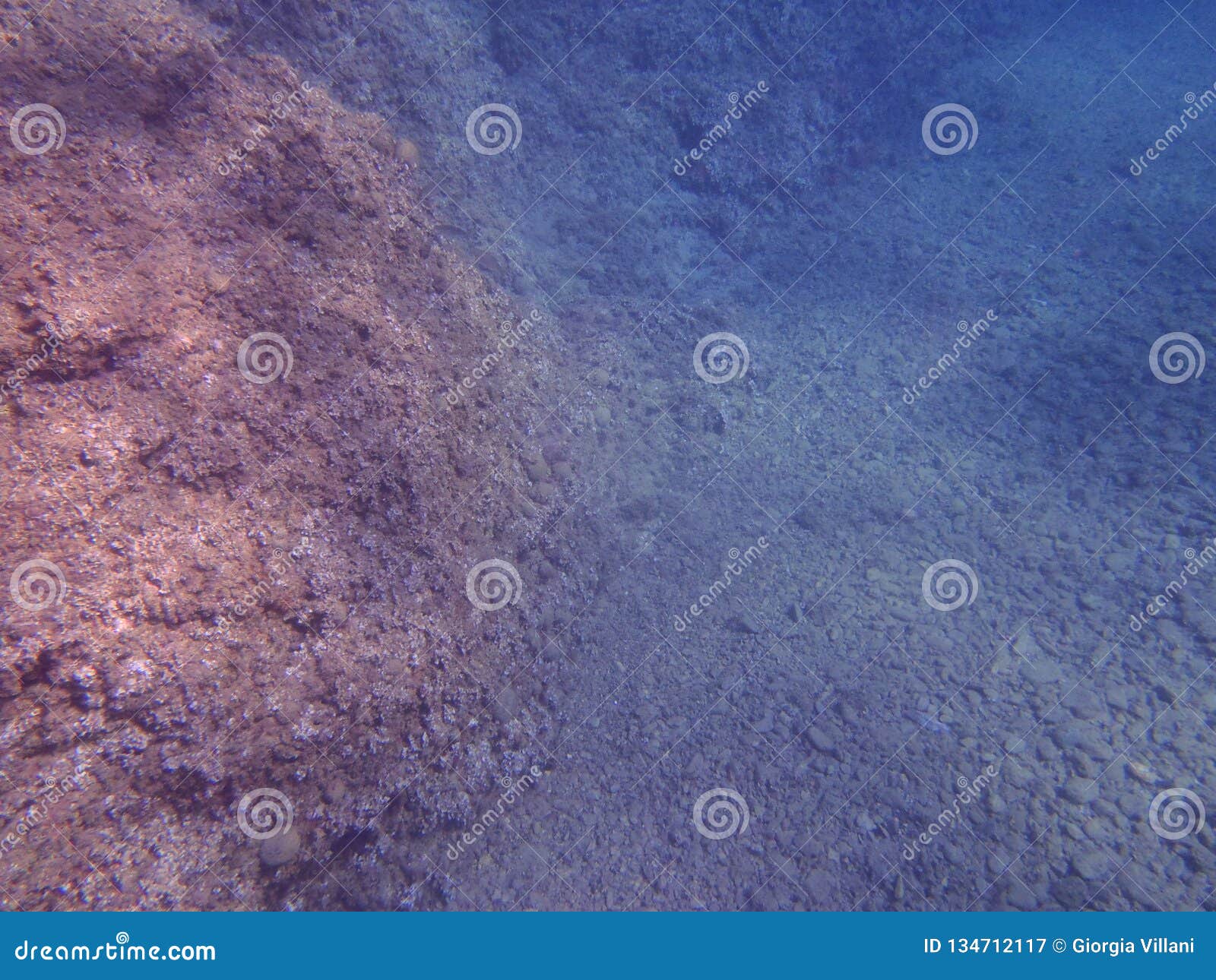 Under the sea, clear editorial photography. Image of panoramic - 134712117