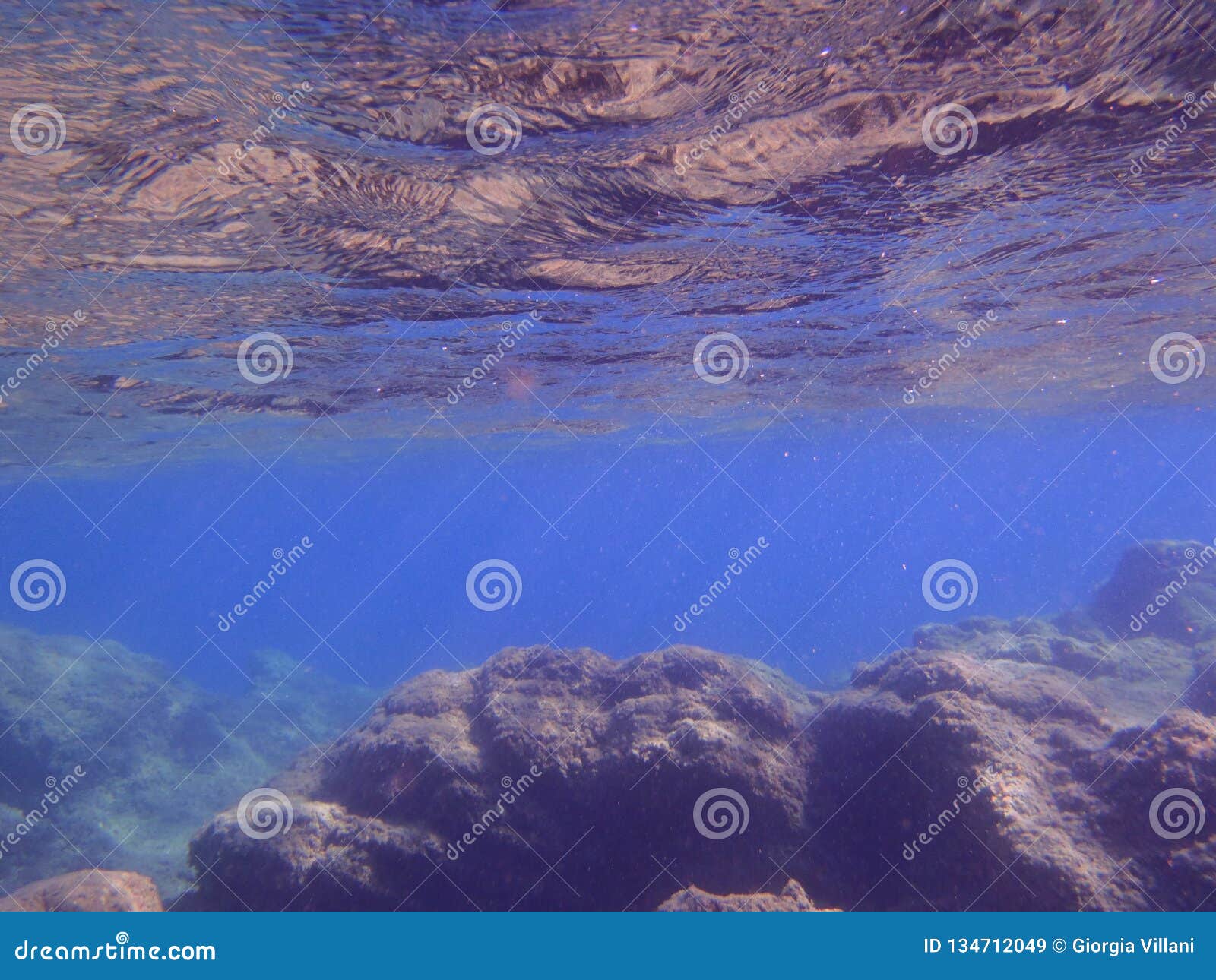 Under the sea, clear editorial stock image. Image of skies - 134712049