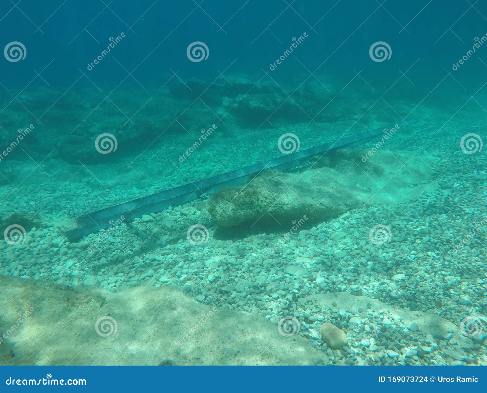 Under the Sea Stars Water Amazing Stock Photo - Image of water, amazing ...