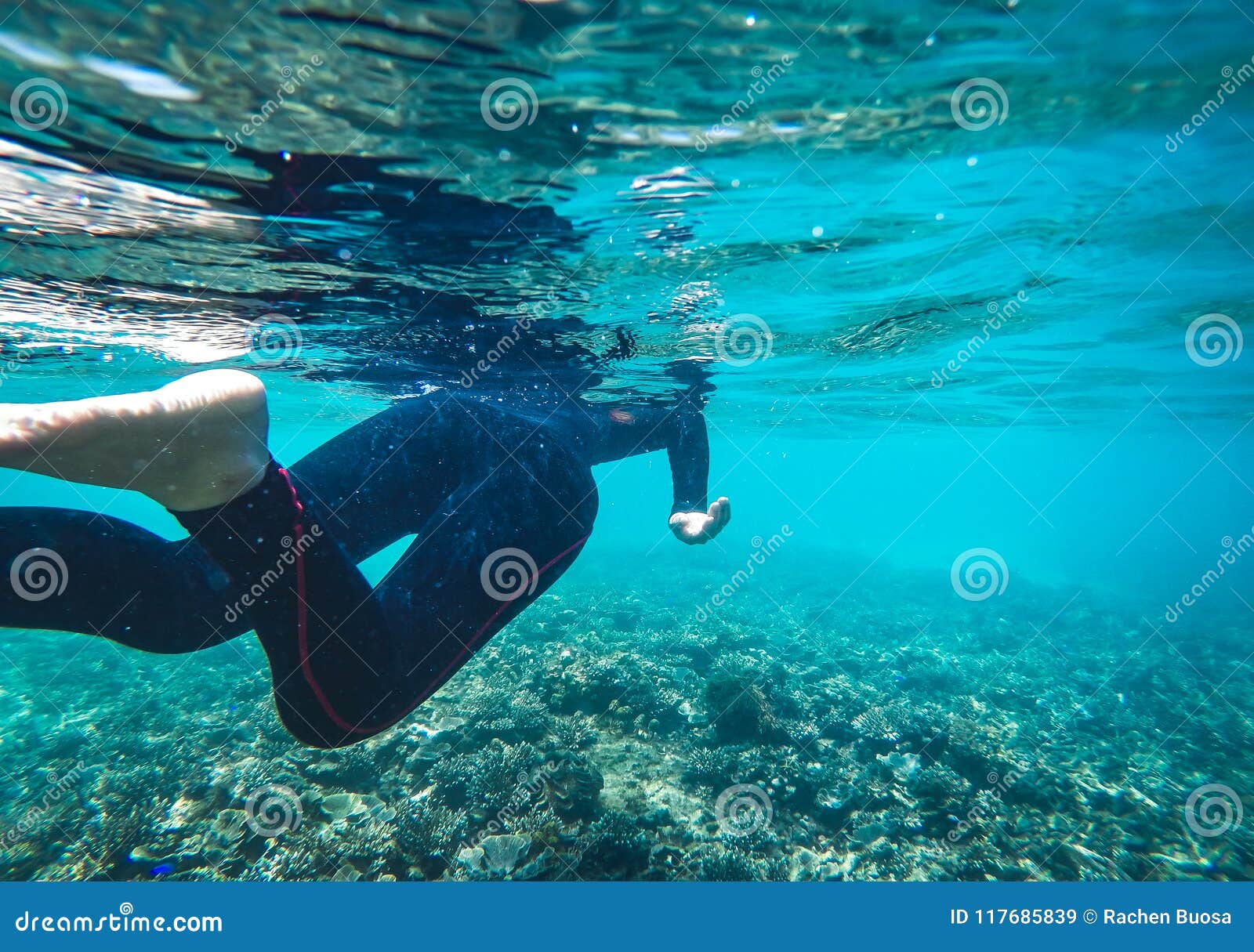 Under the Sea Underwater Blue Dive Island Stock Image - Image of ...