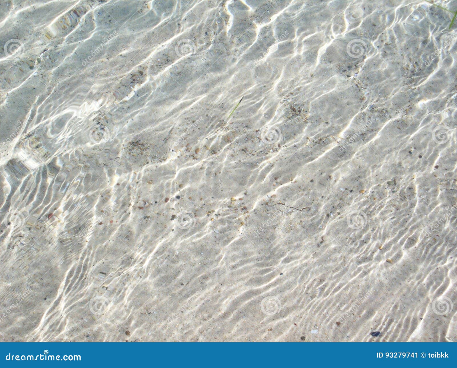 Under sea water stock image. Image of brown, design, nature - 93279741