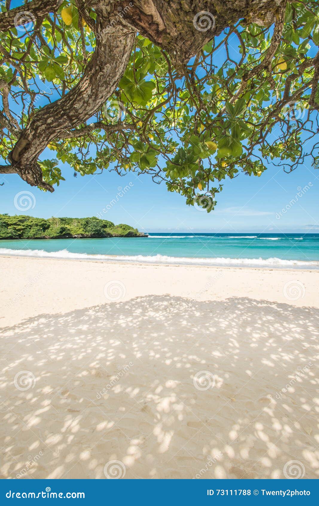 Under the Shade on a Tropical Beach Stock Photo - Image of summer ...