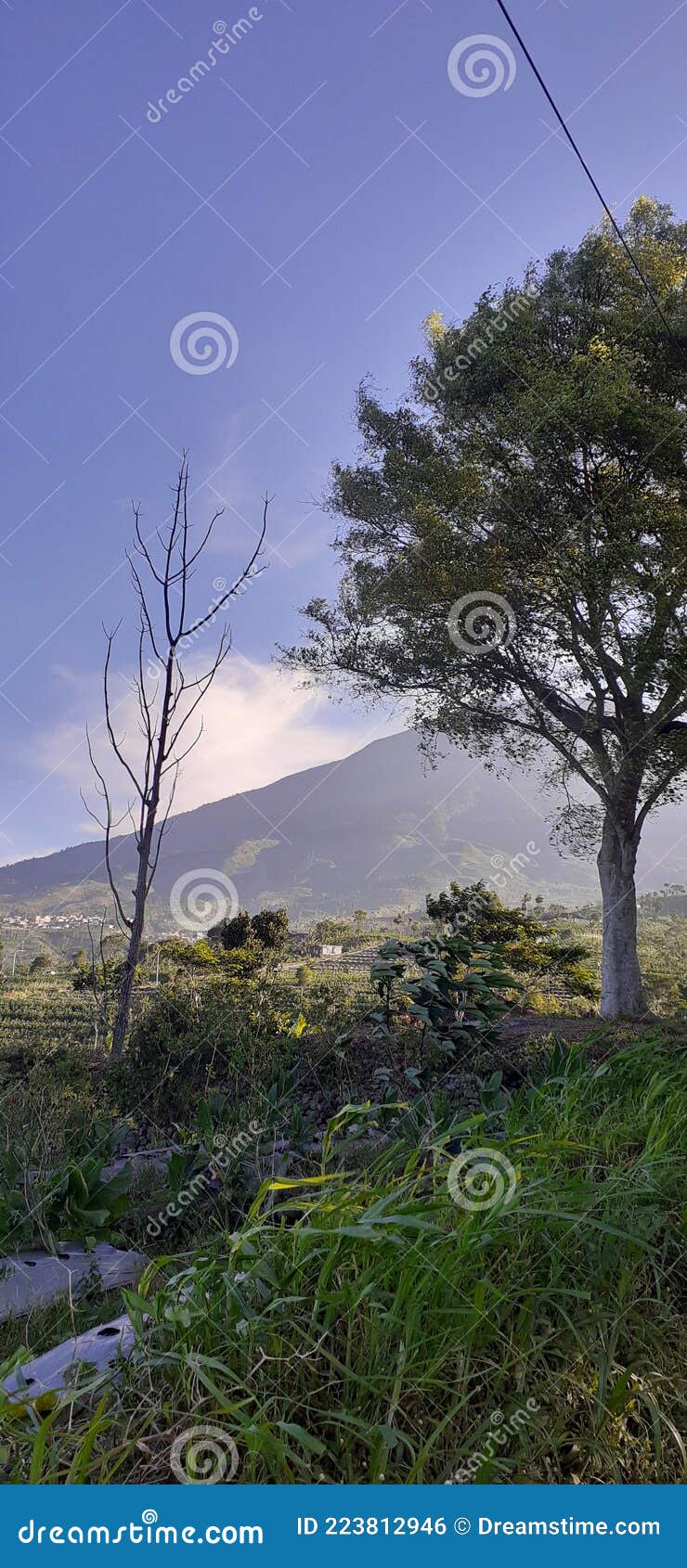 Under of sumbing mounth stock photo. Image of sumbing - 223812946