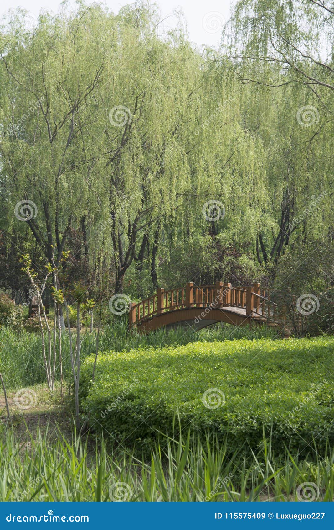 Small Bridges and Green Trees Stock Image - Image of website, unique ...