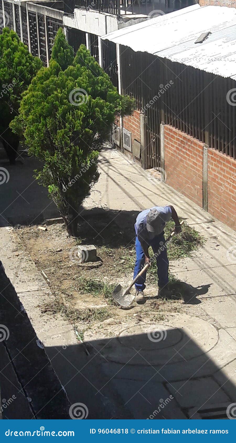 Under the sun working stock photo. Image of paleando - 96046818