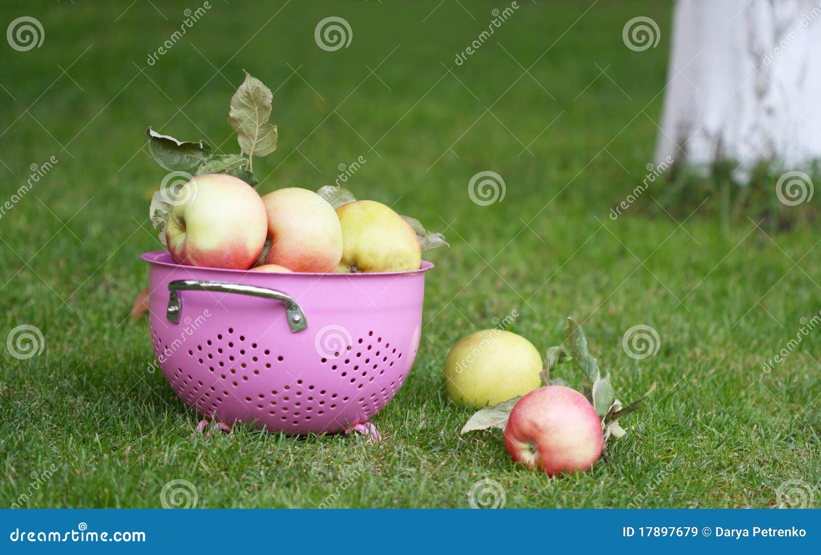 Under the tree stock image. Image of earth, fruit, grow - 17897679