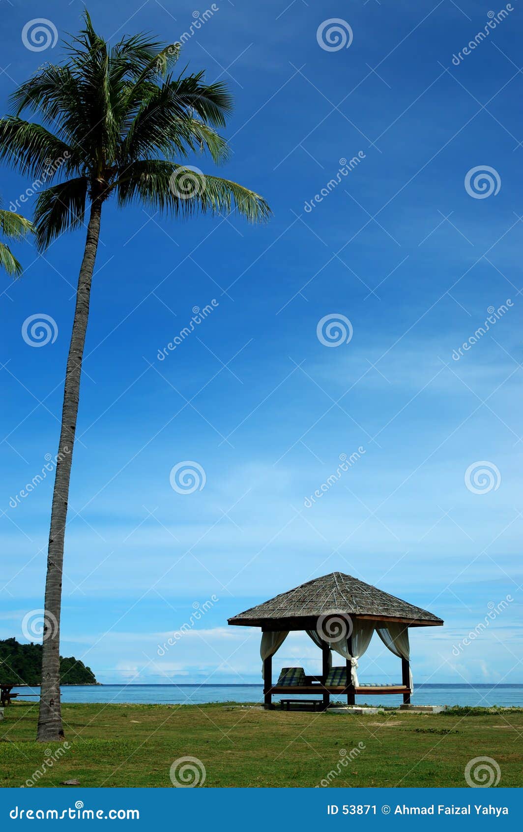 Under the tree 2 stock image. Image of palm, asian, relax - 53871