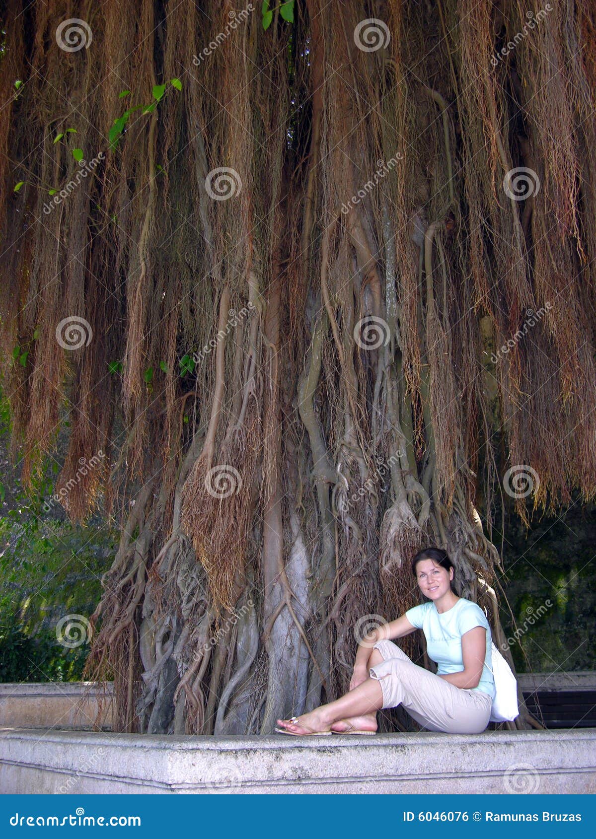 Under the Tree stock photo. Image of tourism, tropical - 6046076