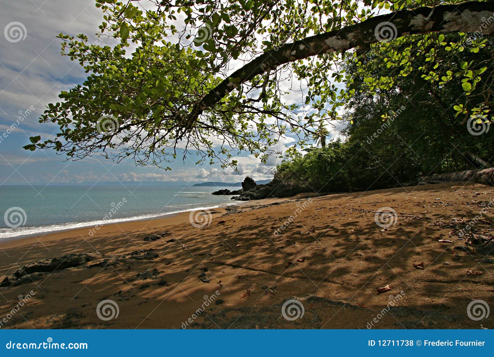 Under a Tree on a Tropical Beach Stock Photo - Image of unspoiled ...