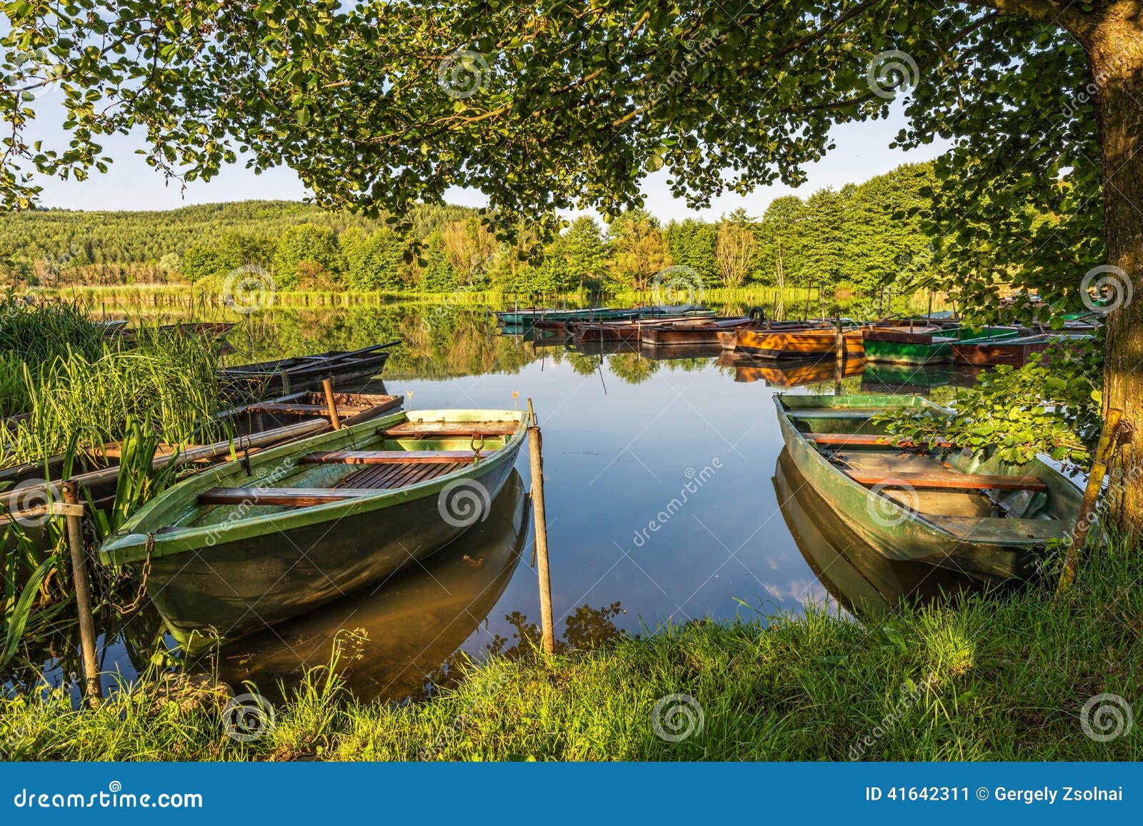 Under the Trees, Boats in the Harbor at Lake Stock Image - Image of ...