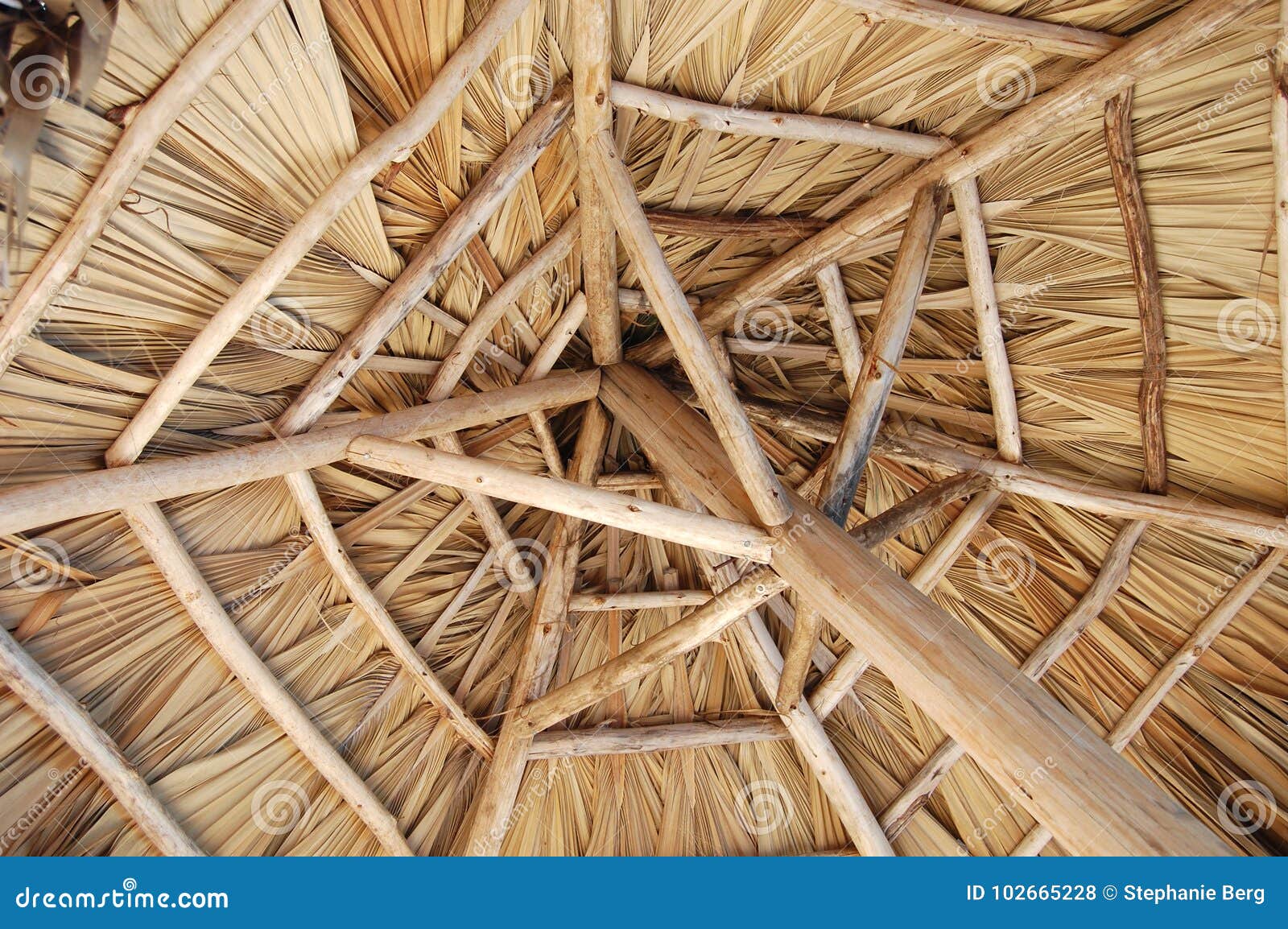 Under Tropical Cabana Hut stock photo. Image of summer - 102665228