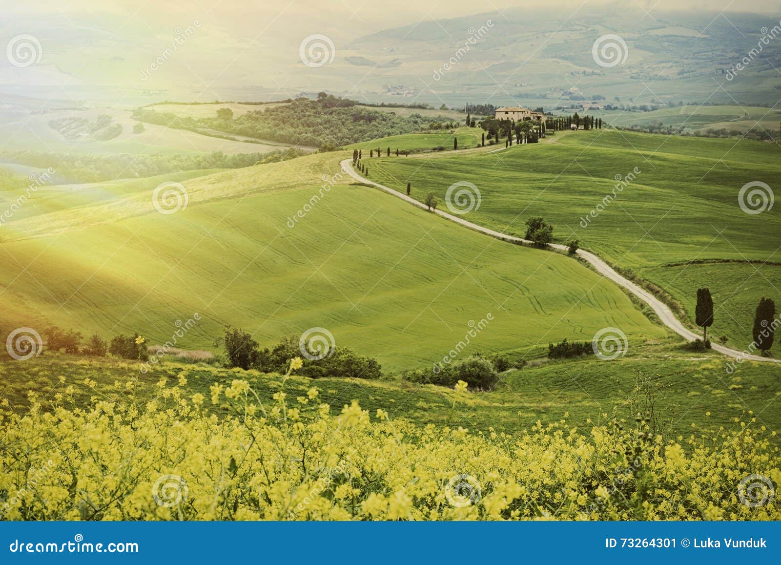 Under the Tuscan sun. stock image. Image of cuisine, colorful - 73264301